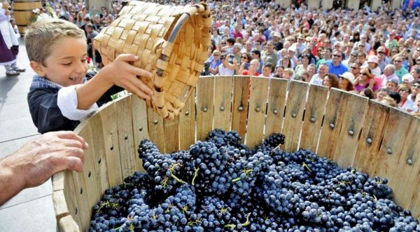 LAST MOMENTS OF THE SUMMER.... LA RIOJA AND RIOJA ALAVESA HARVEST ...